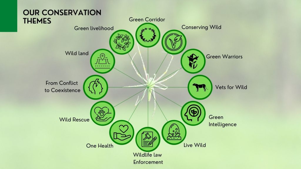 Conservation themes – Wild-CER
