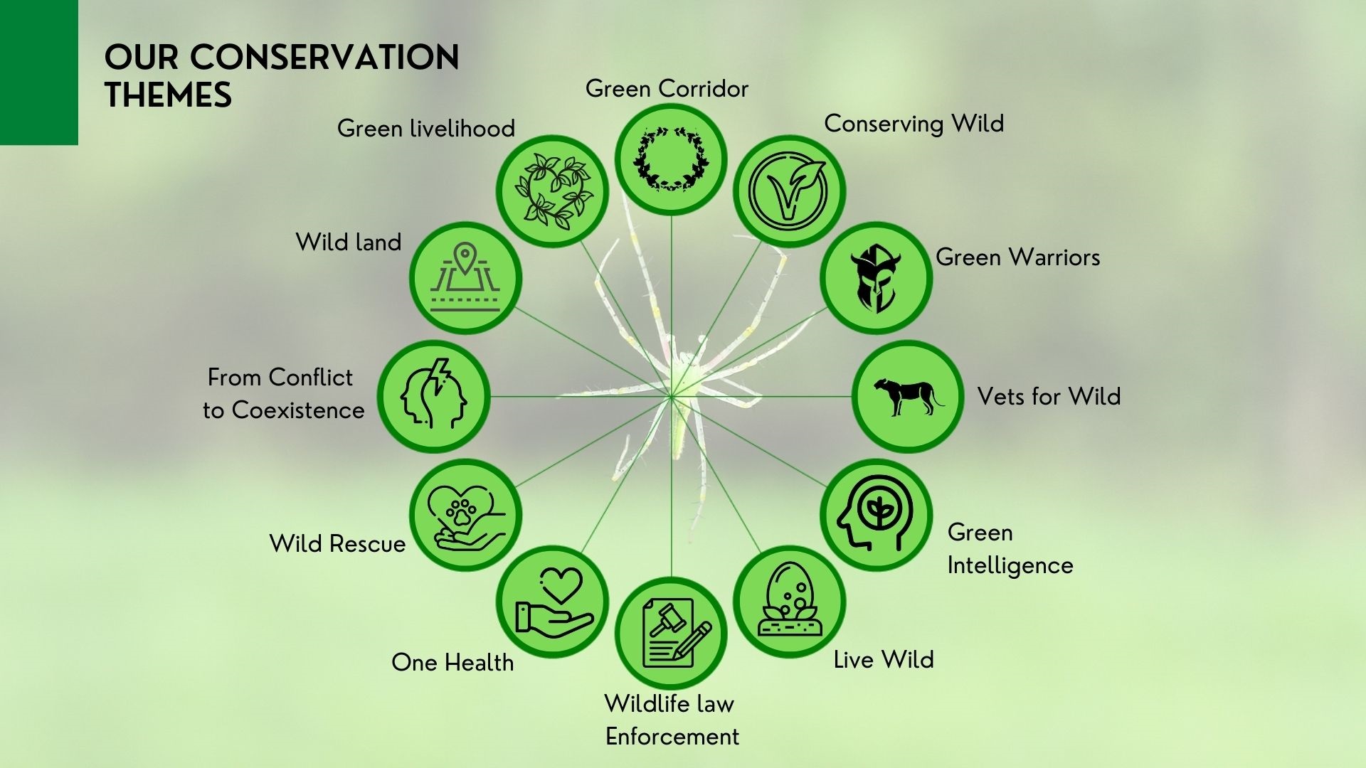 Conservation themes – Wild-CER