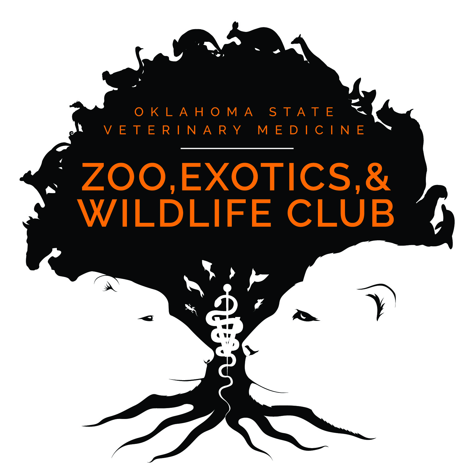 Wild-CER – Conservation Education Research